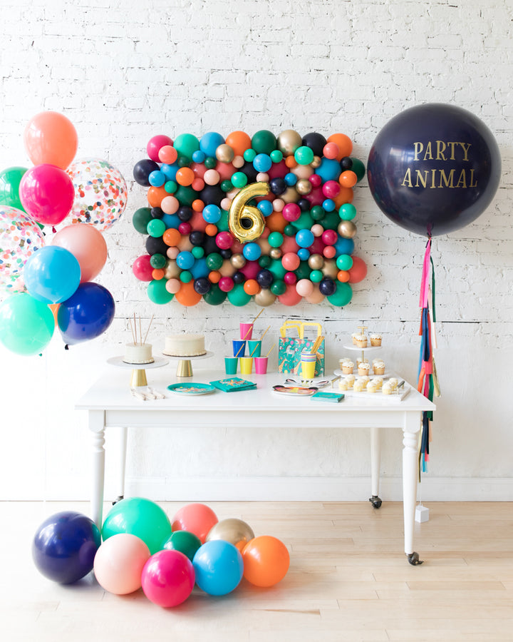 Kids Party Animal Birthday Balloons & Party Decor I Chicago, IL I Paris312