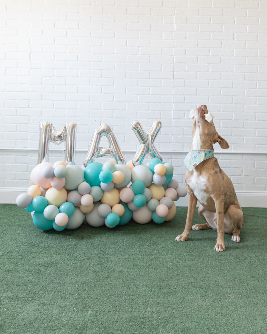 Demure Dog/Couture Cat - Letter Pedestal - 1.5ft — Paris312