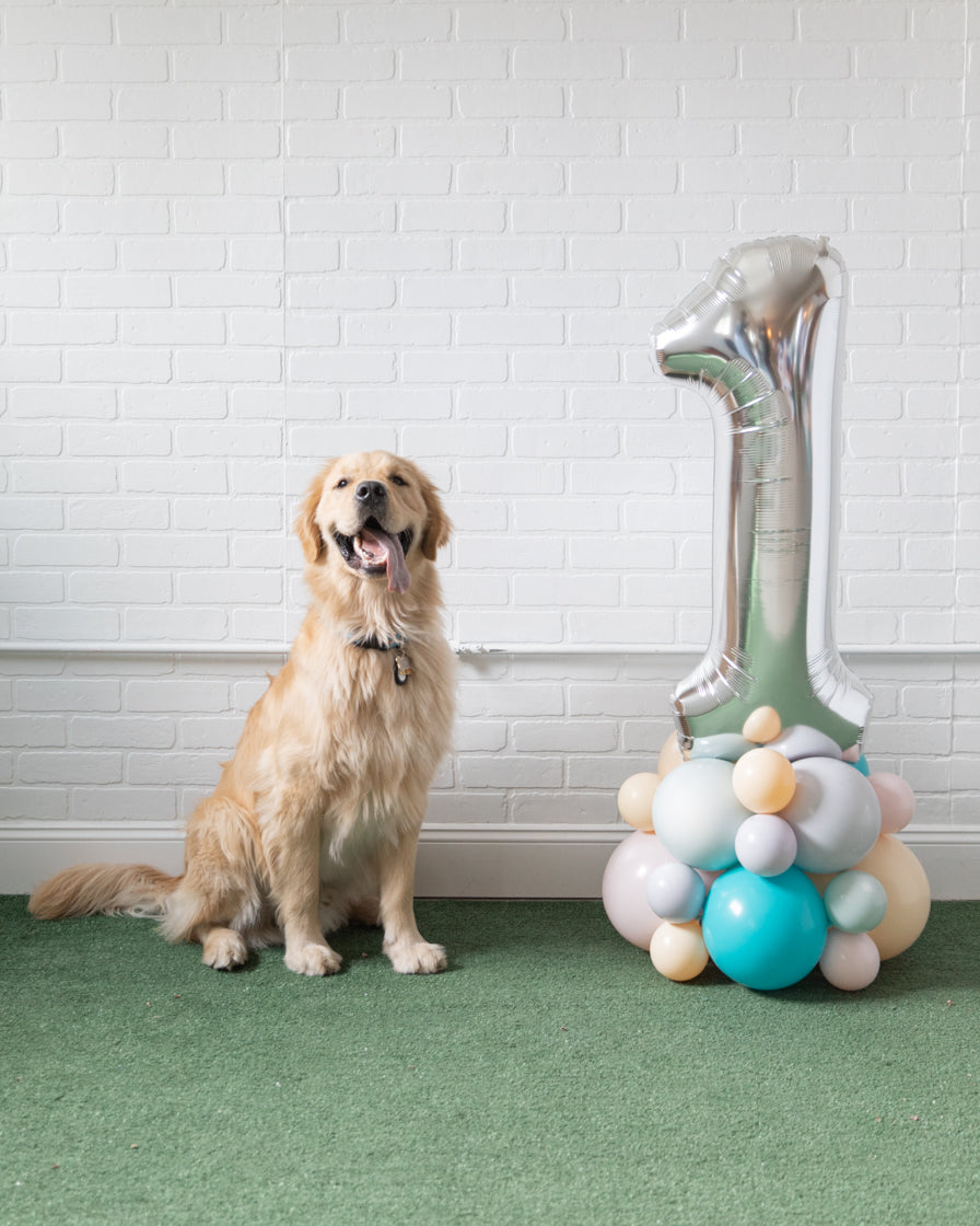 Demure Dog/Couture Cat - 34in Number with Base — Paris312