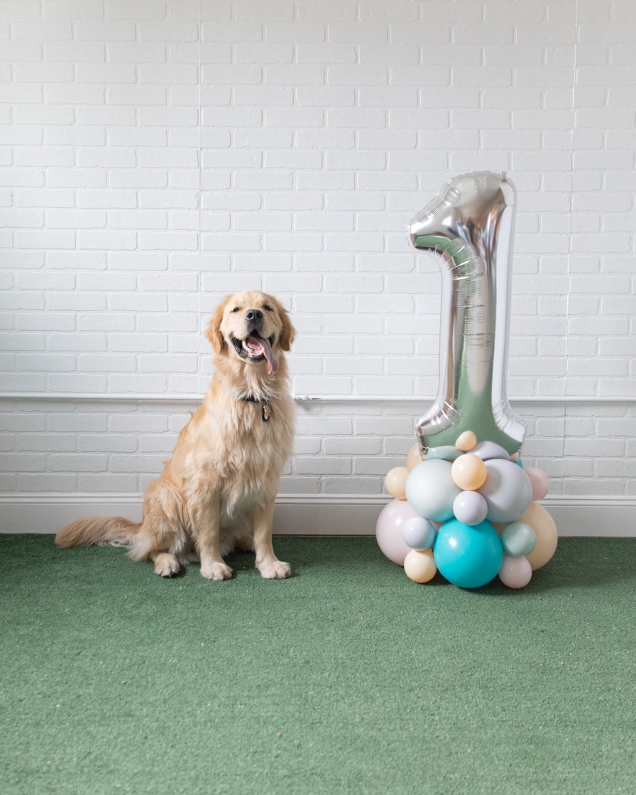 Paw Prince - 34in Number with Base — Paris312